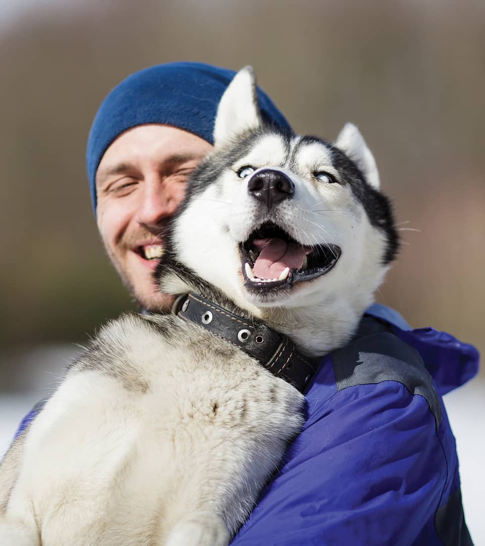 Croquettes pour chiens - Natyka