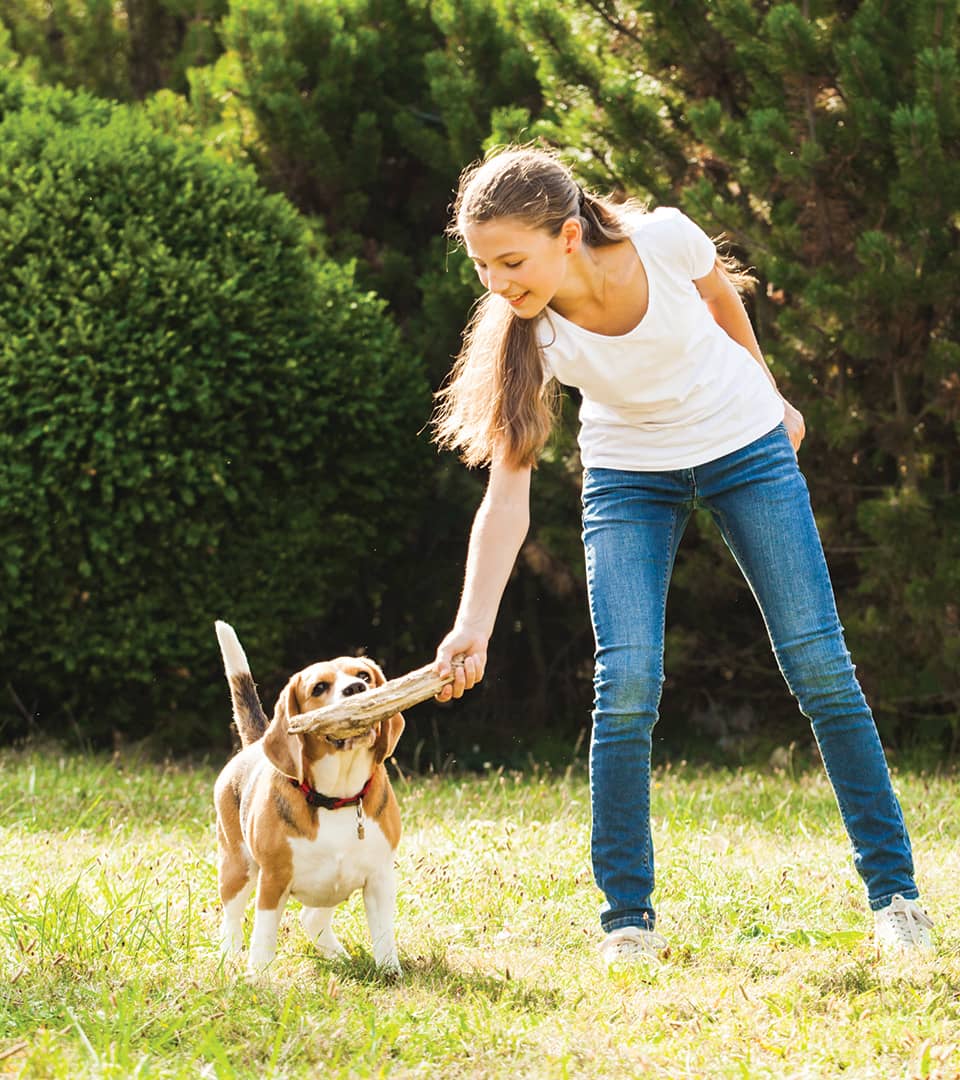 Animals in Optimal Health Thanks to Natural and Nutritious Food - Natyka